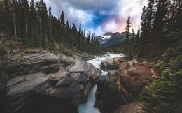 Пейзаж, река, лес Обои 1920x1200 WUXGA